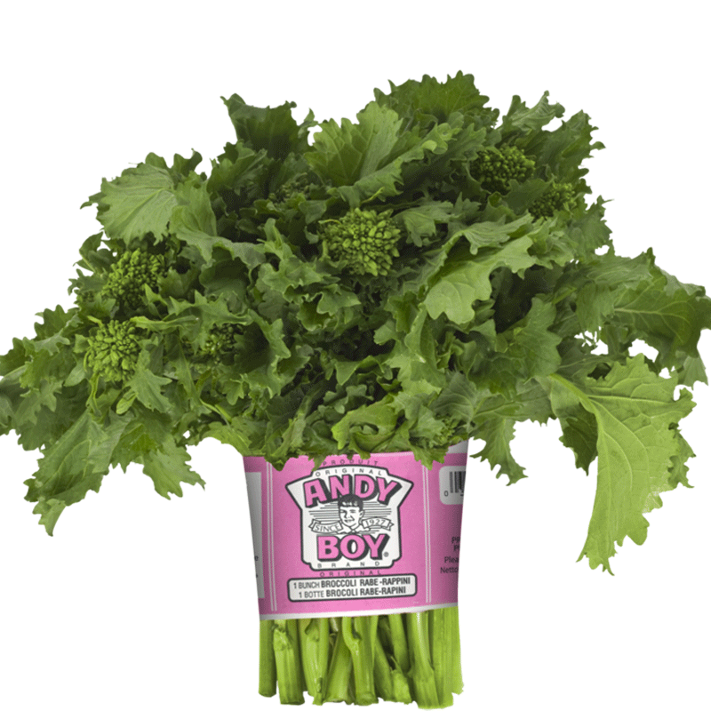 bfmazzeo: Broccoli Rabe
