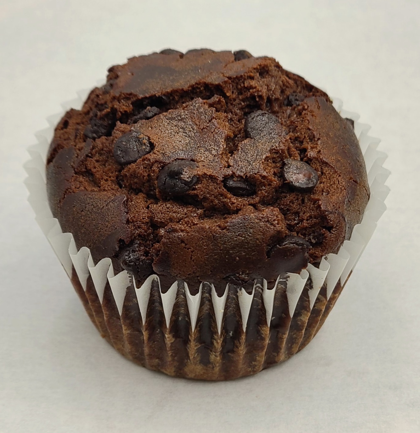 bfmazzeo: Double Chocolate Chip Muffin