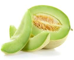 bfmazzeo: Melon, Honeydew - Large