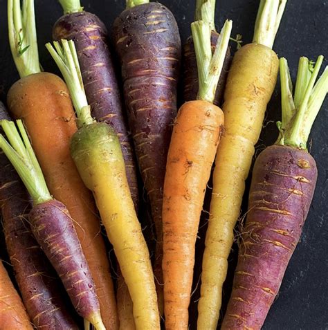 Carrots Loose