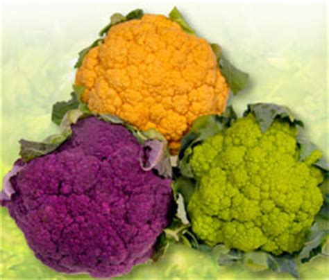 bfmazzeo: Tri Color Cauliflower