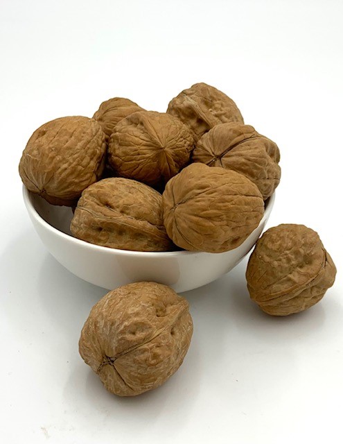 bfmazzeo: Walnuts In Shell