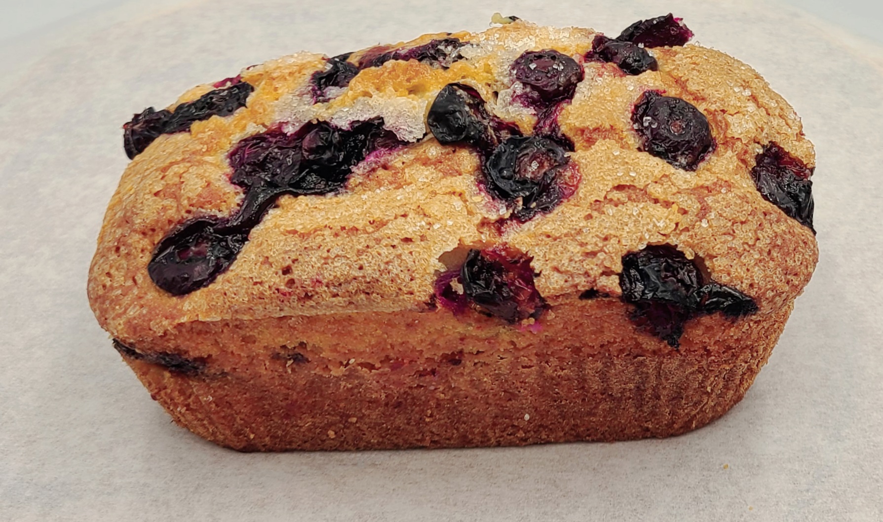 bfmazzeo: Blueberry Bread