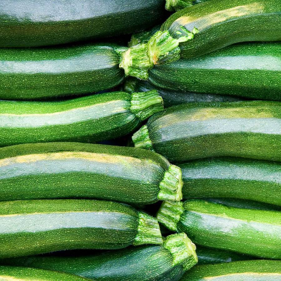 bfmazzeo: Squash, Green