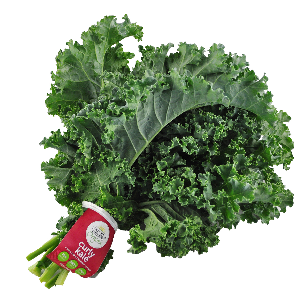 bfmazzeo: Kale, Organic