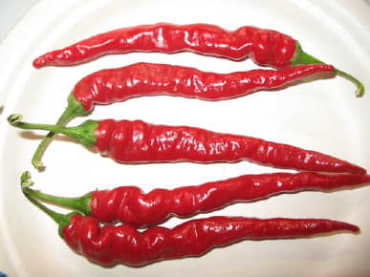 bfmazzeo: Pepper, Long Hot Red