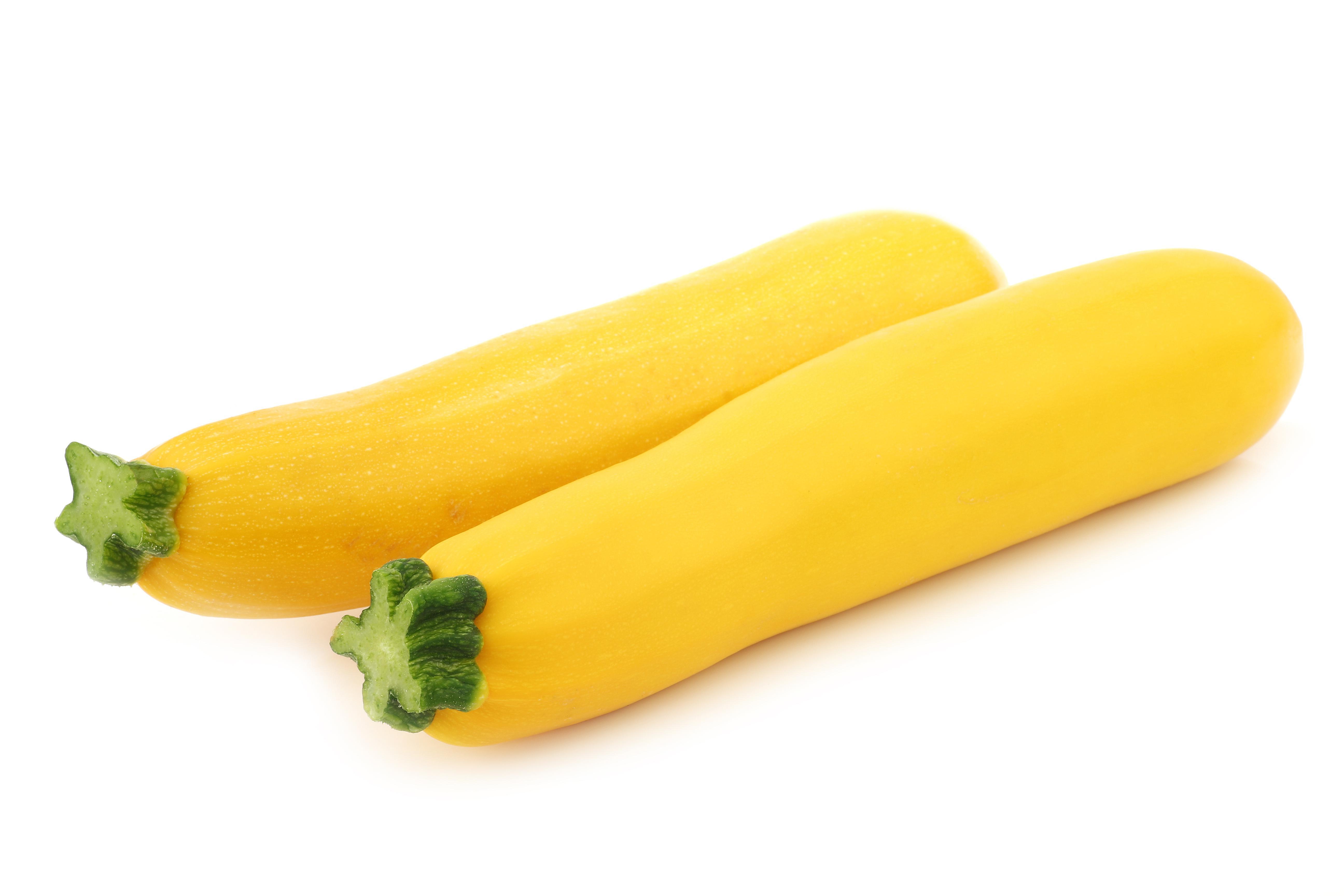 bfmazzeo: Squash, Yellow Organic